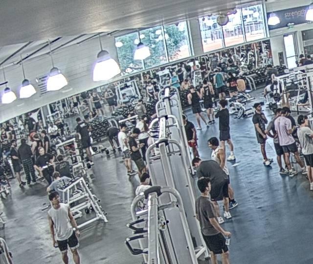 Gym_Count_Annotated Object Detection Model by dinalihand