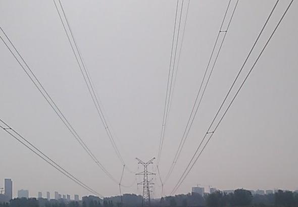 My First Project Instance Segmentation Dataset by watermelom7