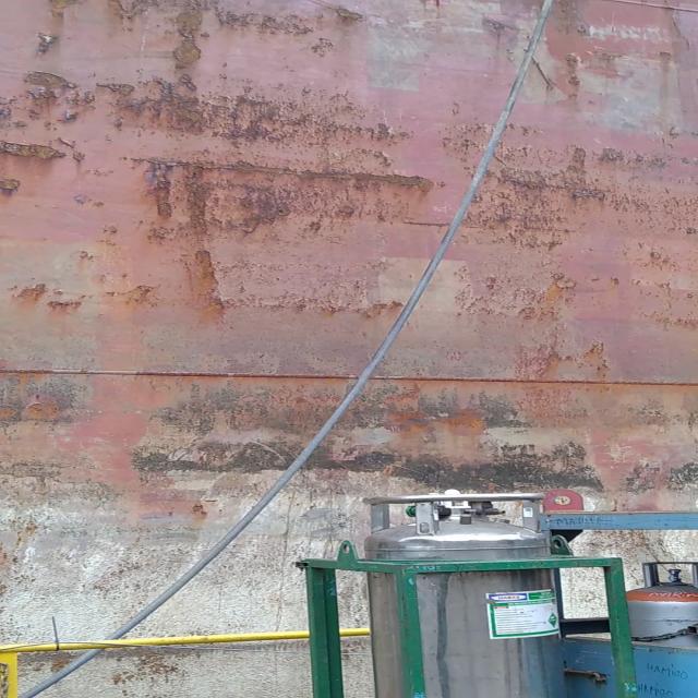 Underwater Project 2 0 Instance Segmentation Dataset By The Underwater Project