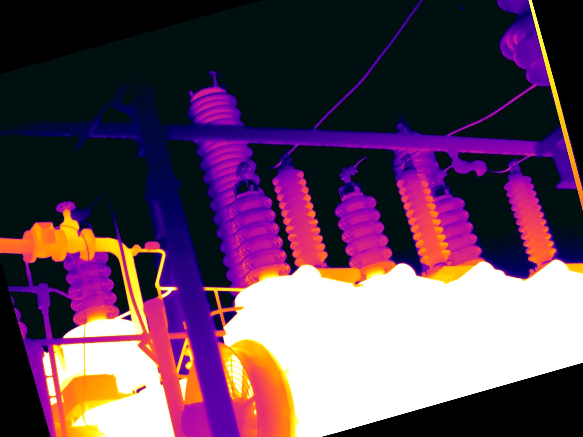bolsa Instance Segmentation Dataset and Pre-Trained Model by TCC