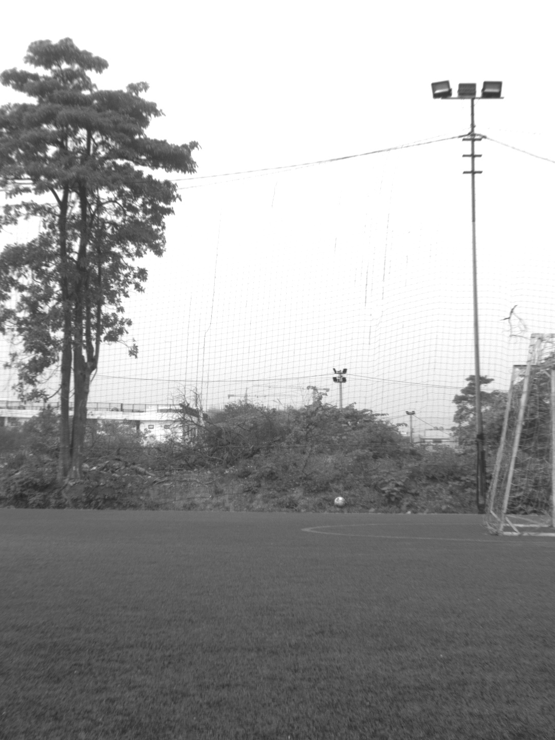 ball segment Instance Segmentation Dataset by HUST