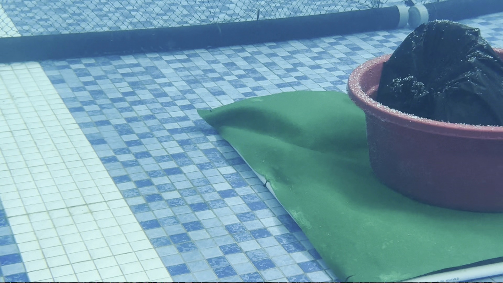 bucket_red Object Detection Model by xuandu