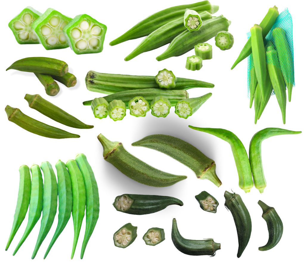 Saging Object Detection Dataset by Mapua University