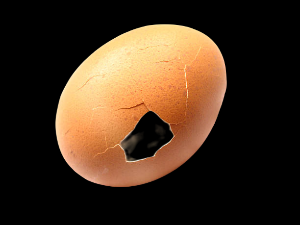 Egg Crack Detection Object Detection Dataset And Pre Trained Model By