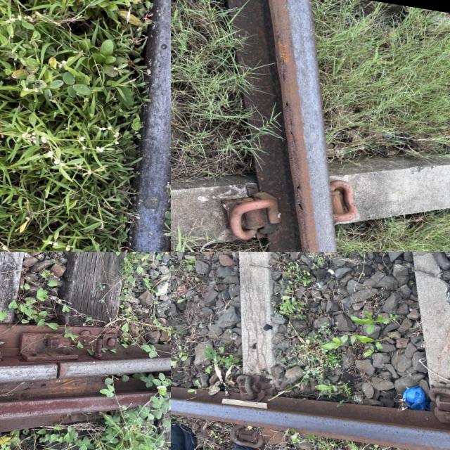 PNR Revised Split 3 Object Detection Dataset by Trial Run