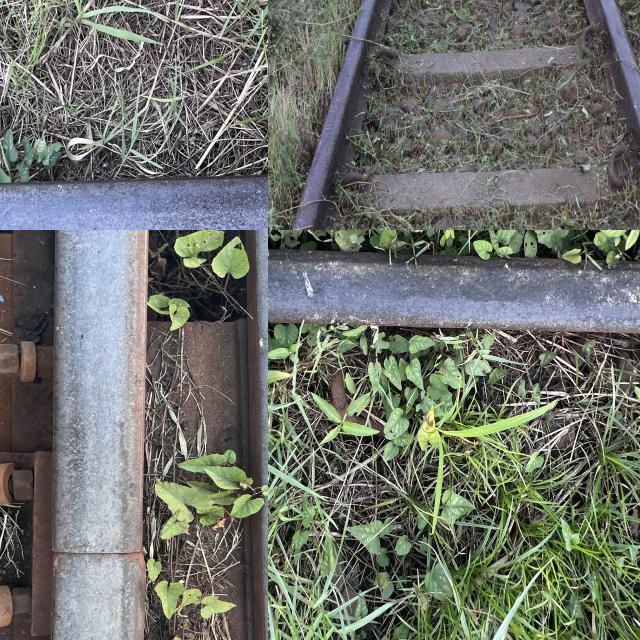 PNR Revised Split 5 Object Detection Dataset by Trial Run