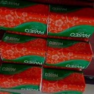 Paseo And Nice and other tissue Object Detection Model by my workspace