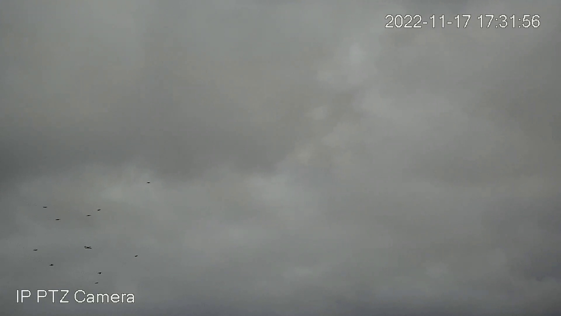 Drone Bandada Object Detection Dataset By Mario Hernandez