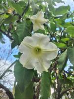 Test workspace (test-workspace-ujgsk) - Roboflow Universe