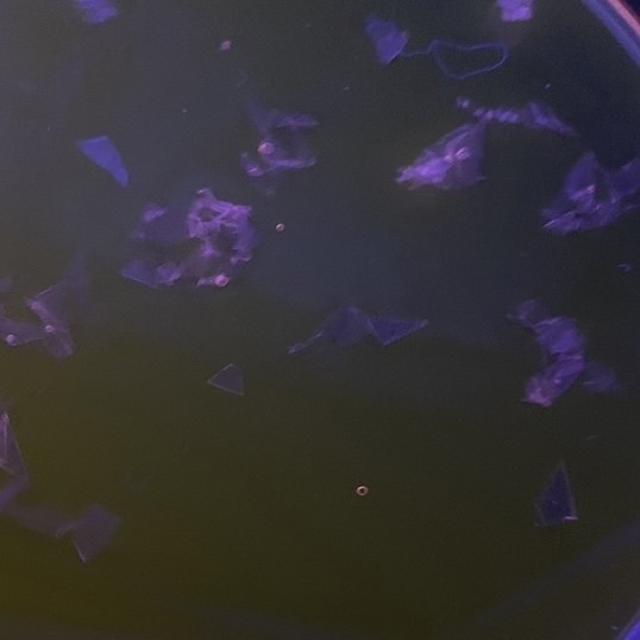 microplastic Object Detection Dataset and Pre-Trained Model by puttisan