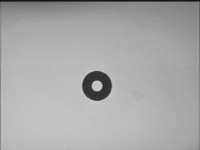 UoP (uop-h8xaw) - Roboflow Universe