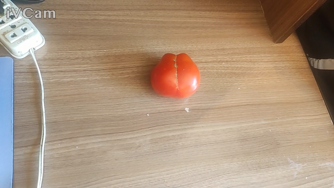 Detect_Tools Instance Segmentation Model by DetectTools