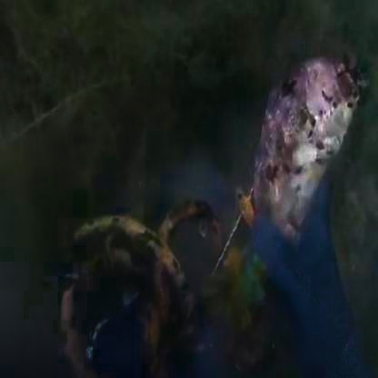 waste_management Object Detection Dataset by Student data