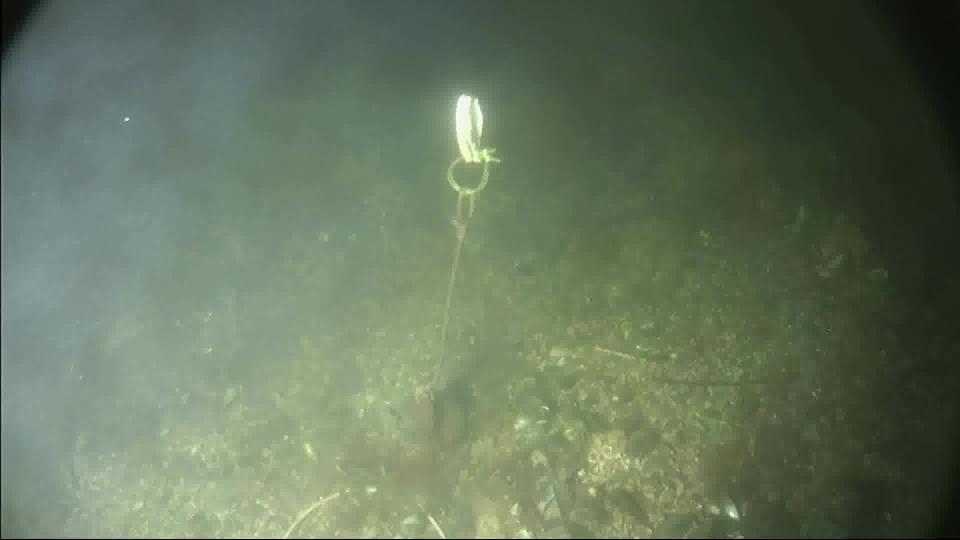 space Object Detection Dataset by workspace