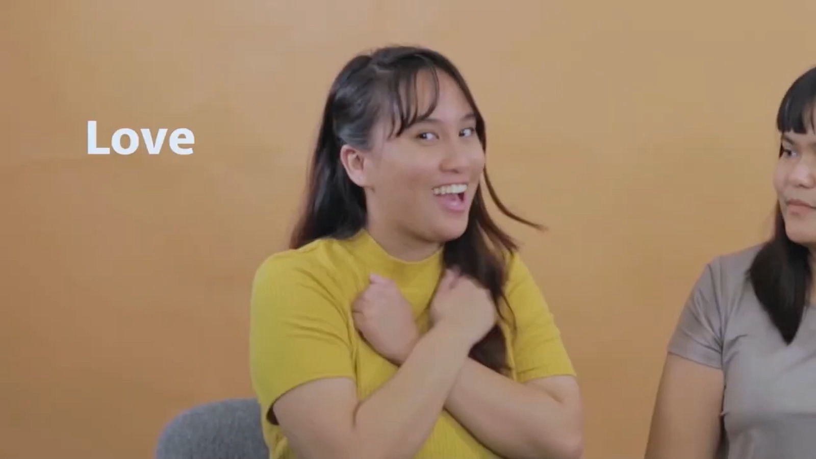 Filipino Sign Language Model Object Detection Dataset and Pre-Trained Model by Research