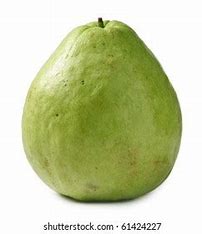 healthy guva Object Detection Dataset and Pre-Trained Model by guava