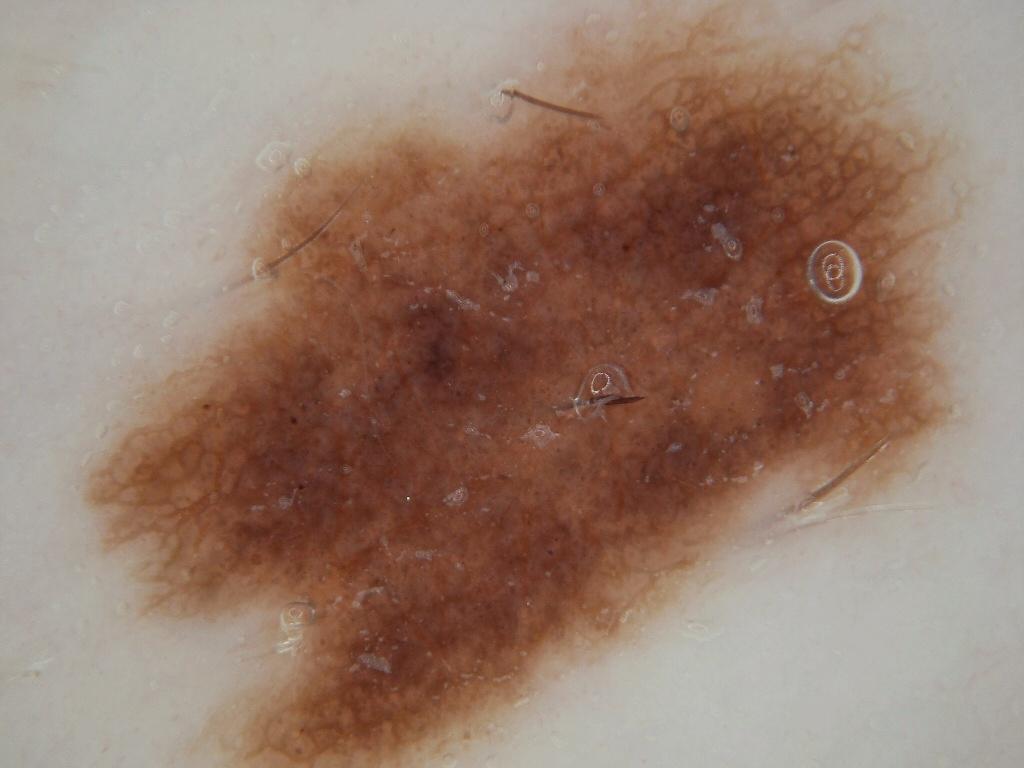 practice (practice-s531x) - Roboflow Universe