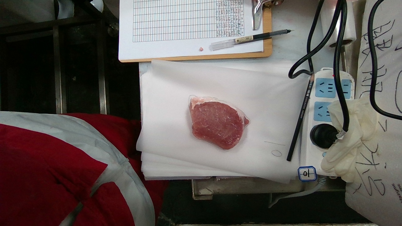 EM defleshing Instance Segmentation Dataset by project-qgsqa