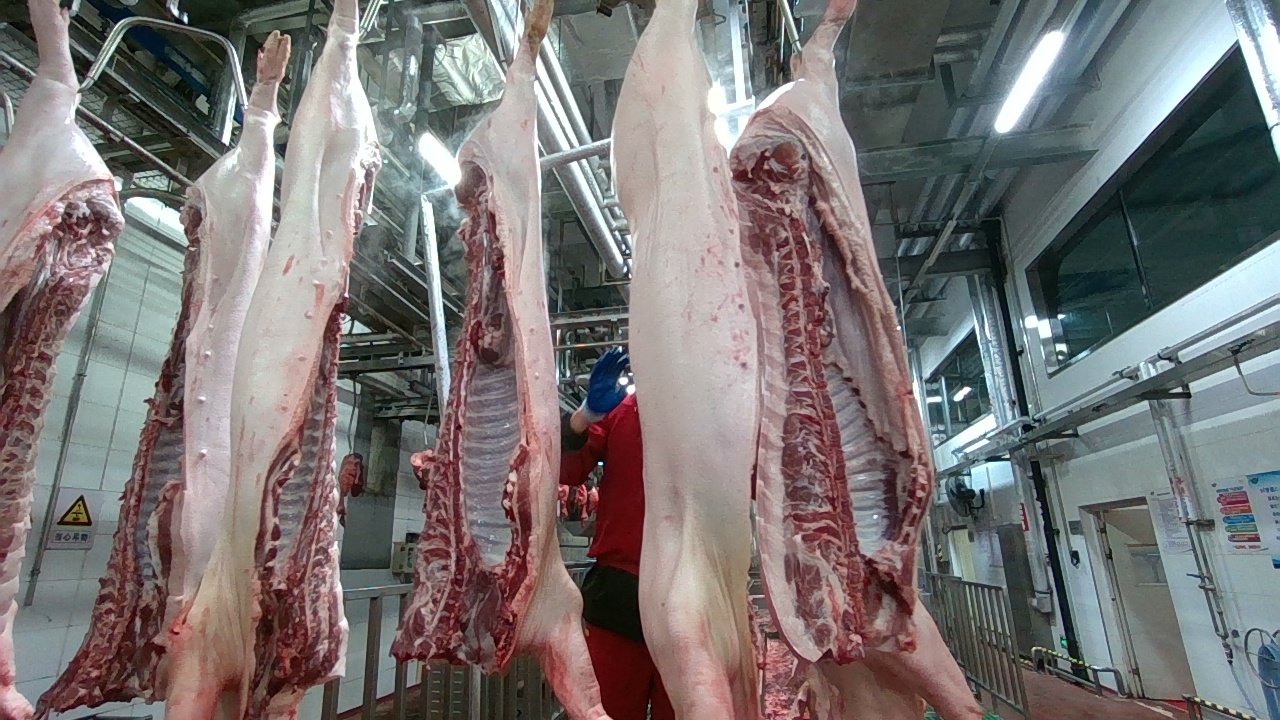 zhongliang-carcass-length-2-point Keypoint Detection Dataset by project-qgsqa