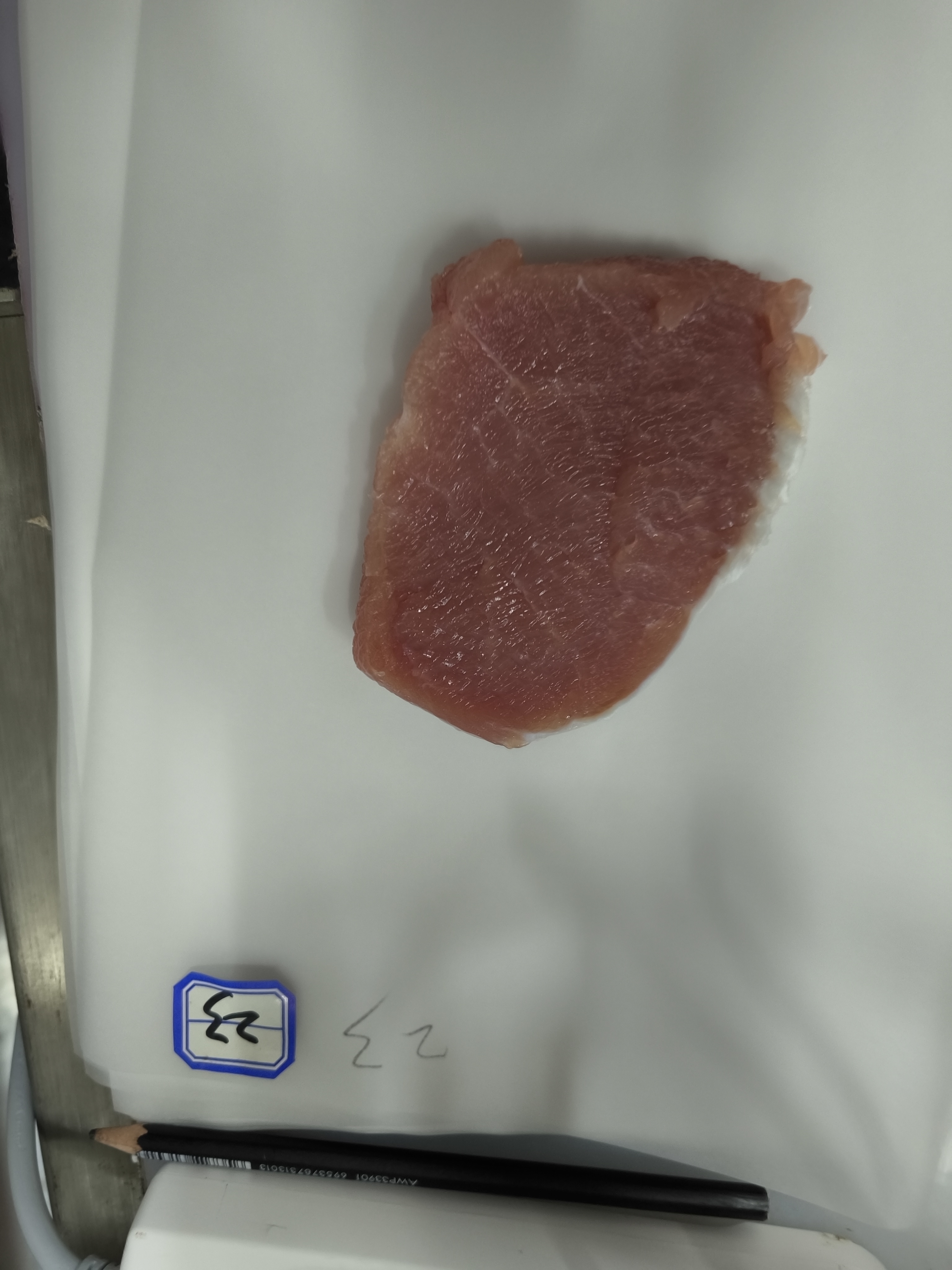 EM area valid Instance Segmentation Dataset by project-qgsqa