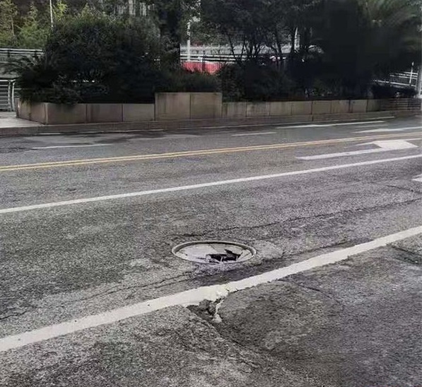 manhole-cover Object Detection Dataset by lcandy