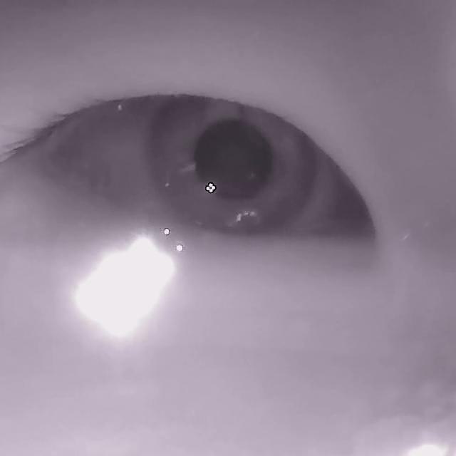 Pupil 1 Object Detection Dataset And Pre Trained Model By Pupil