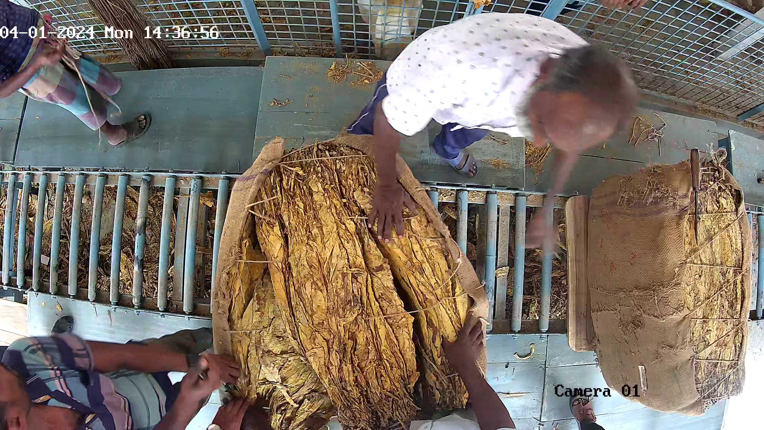 Team1 (team1-xhznx) - Roboflow Universe