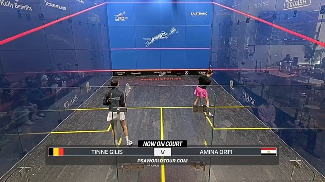 Squash Ball Detection Object Detection Dataset By Projekt Squash