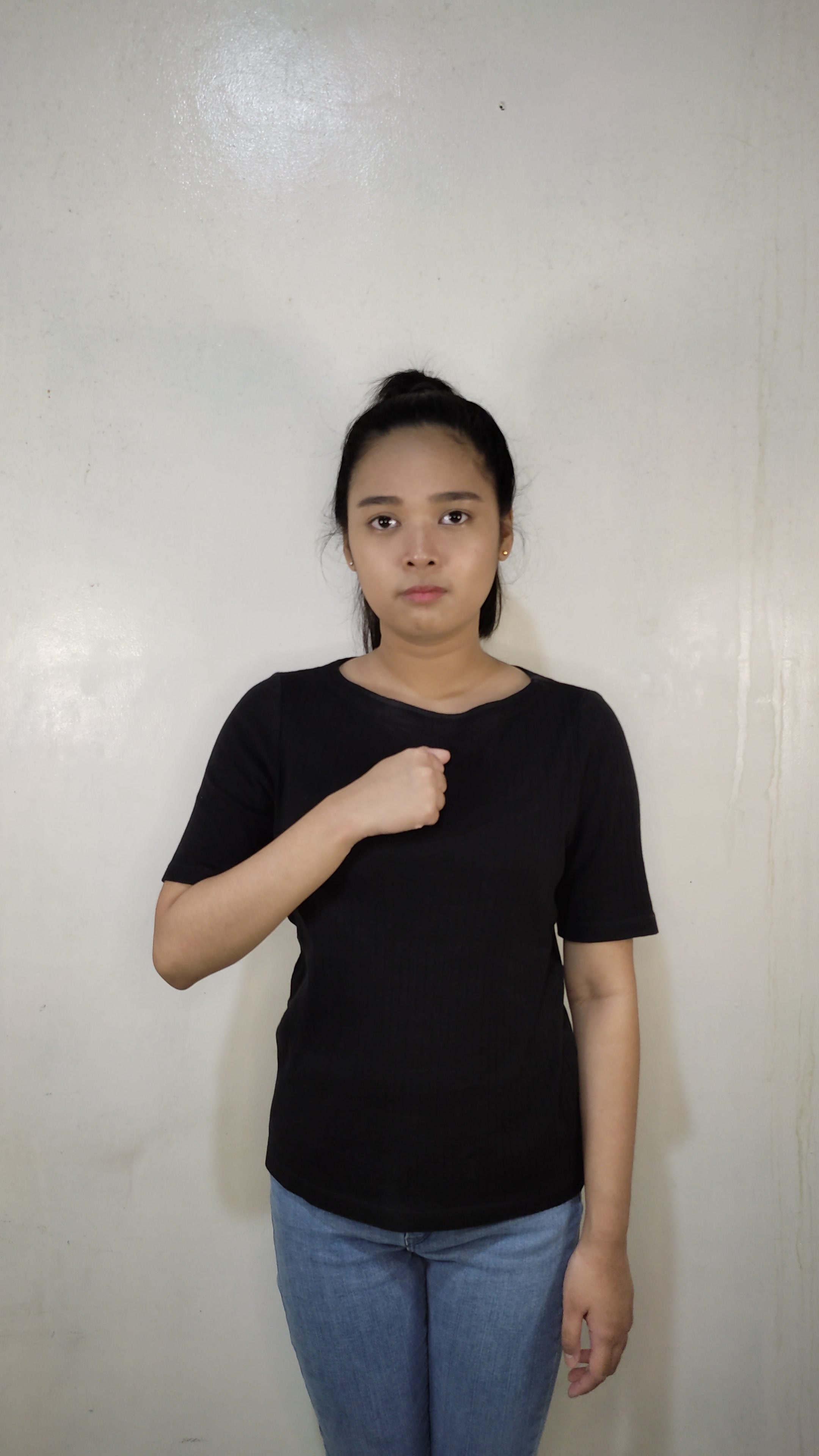 Filipino Sign Language Model Object Detection Dataset by Sign Language