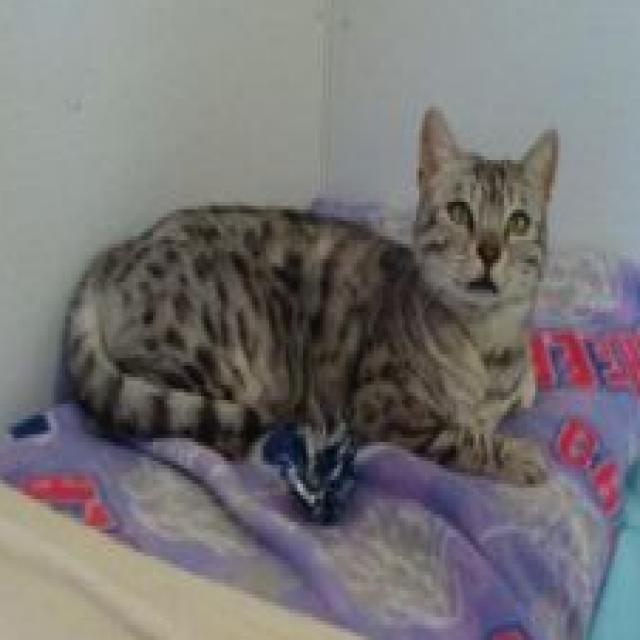 Andrue - Roboflow Universe