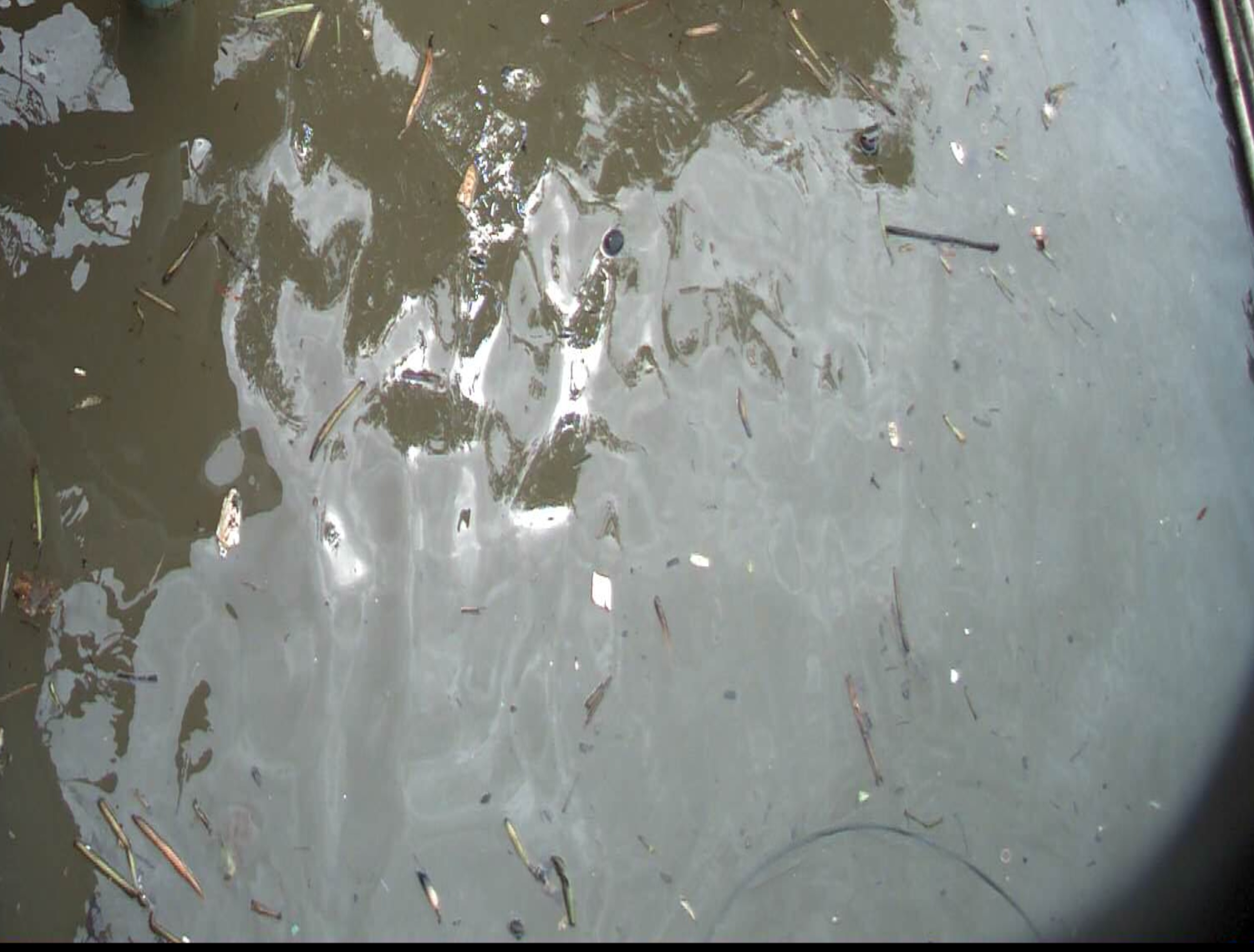 CCTV_bangna Object Detection Dataset by valid