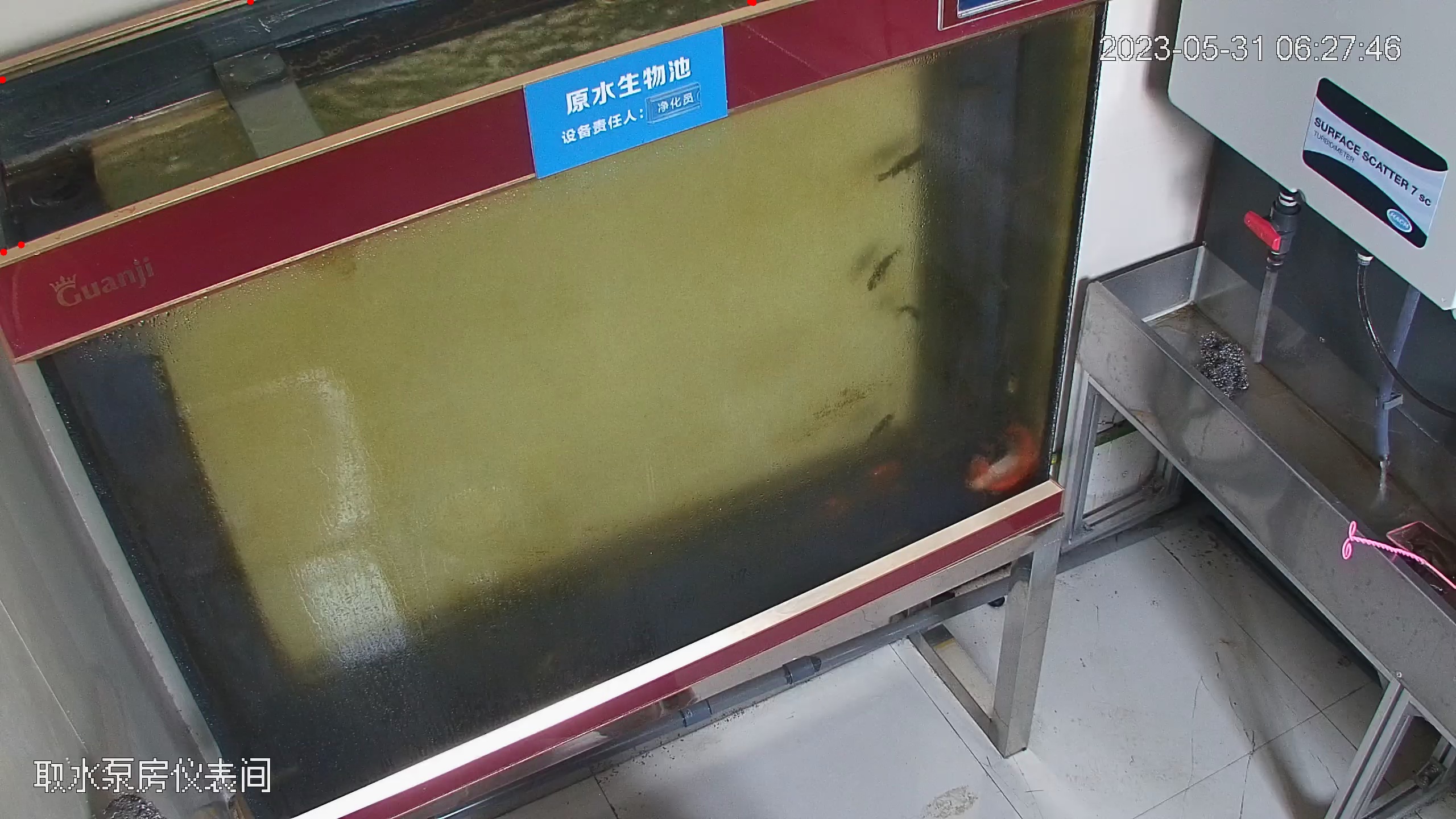 Merge All Data Object Detection Dataset And Pre Trained Model By 1253971414qqcom