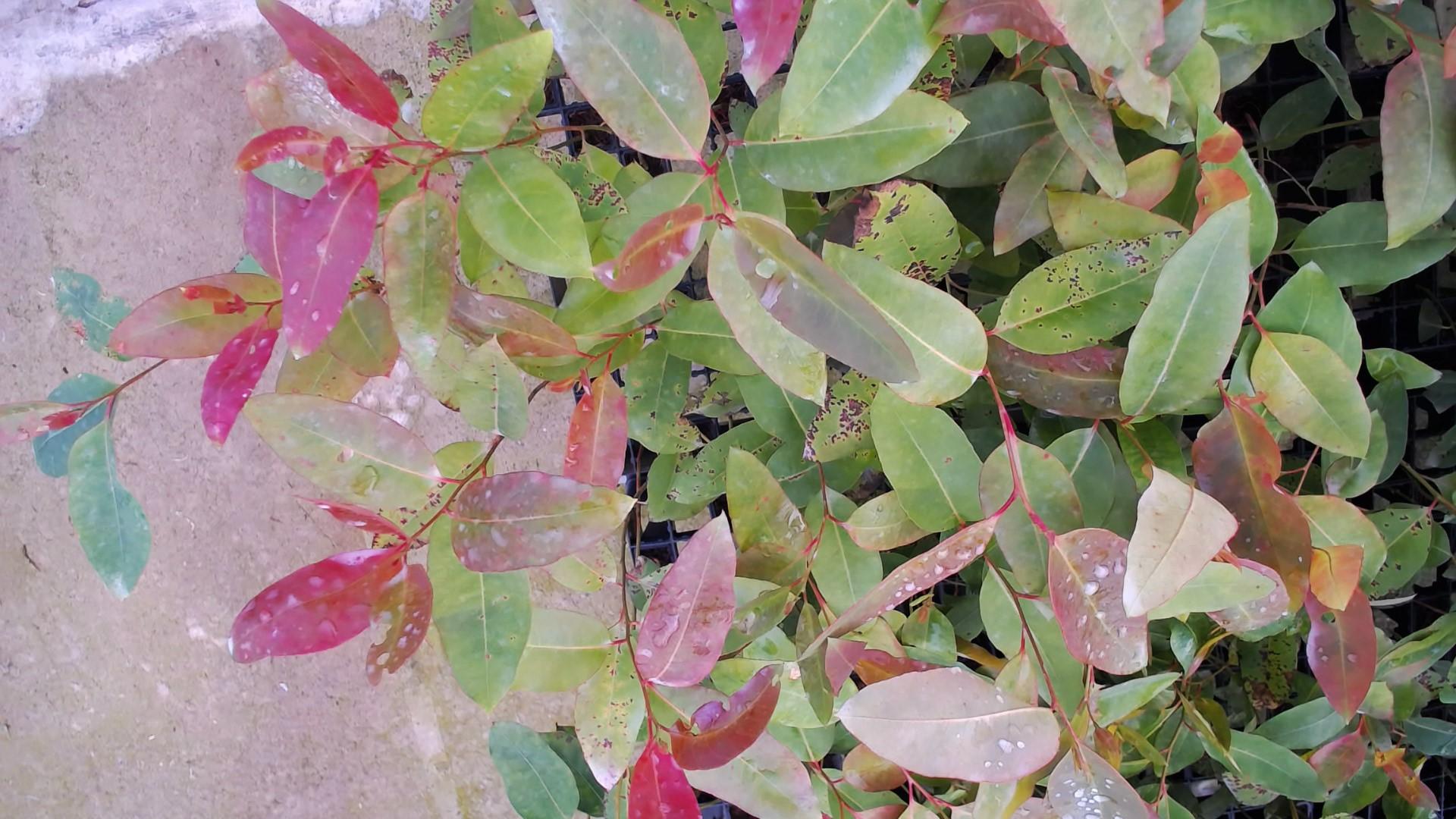 47 dataset Instance Segmentation Dataset by xnt segment