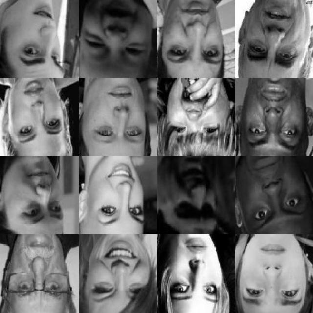 ee Object Detection Dataset and Pre-Trained Model by proj