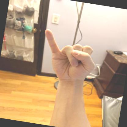 sign language recognition Instance Segmentation Dataset and Pre-Trained Model by dedsec