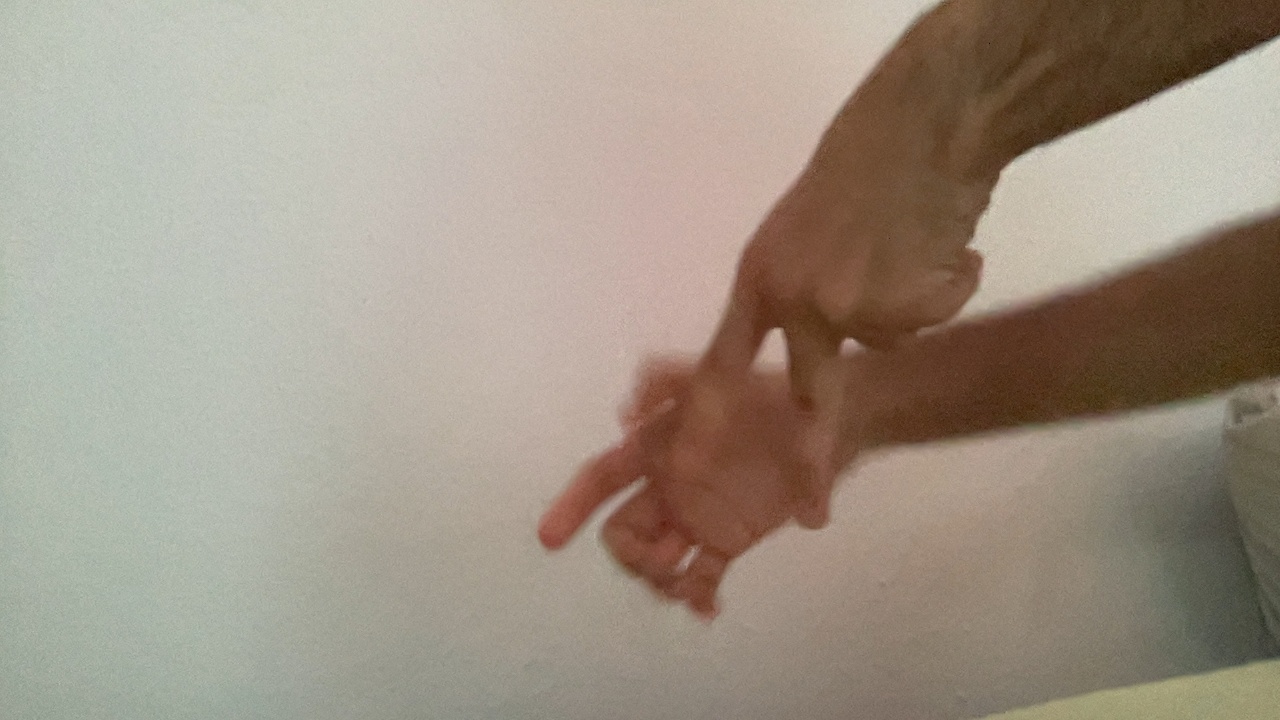 Custom Workflow Object Detection Object Detection Dataset by Foto