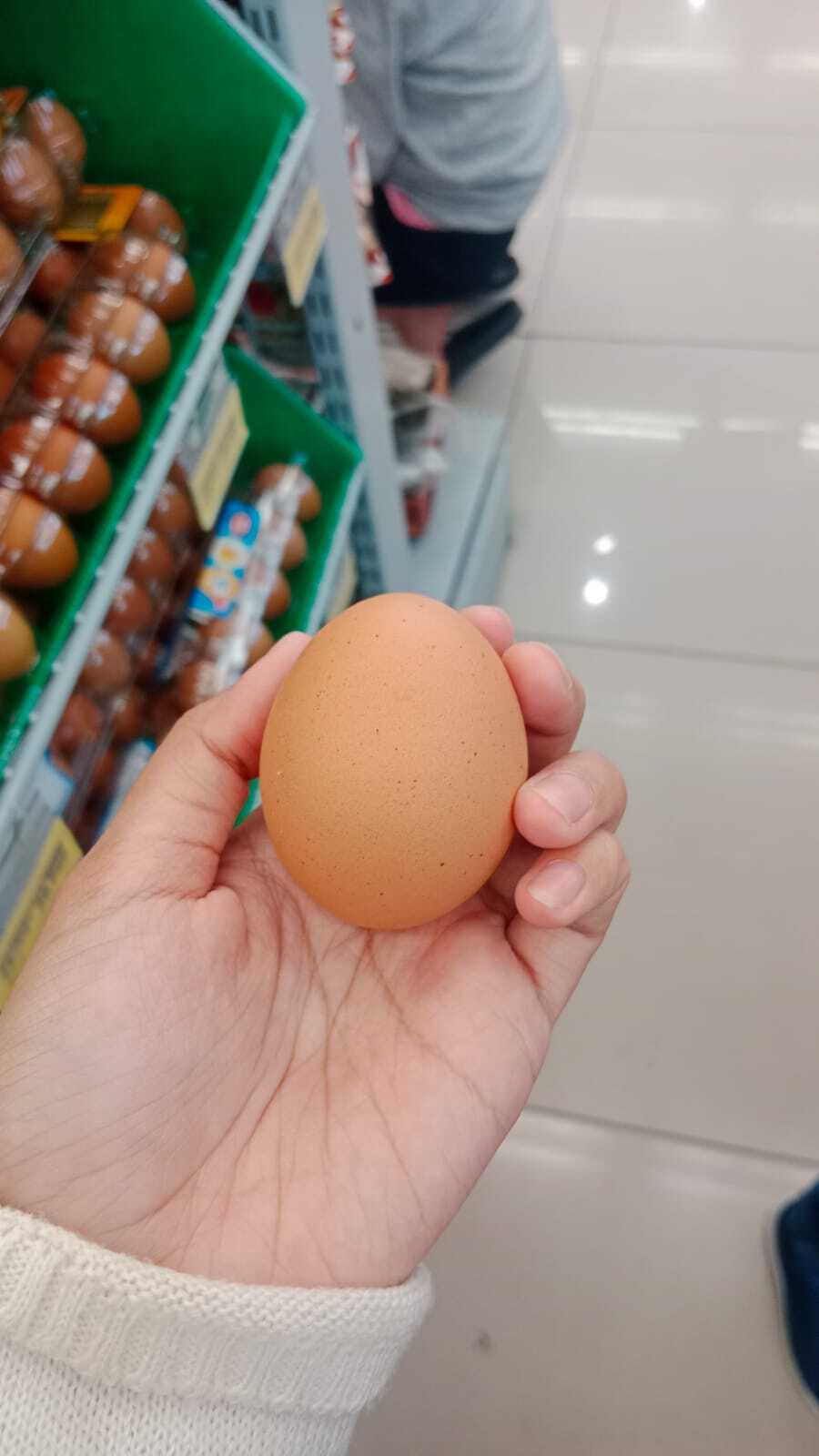 eggMaster Instance Segmentation Dataset and Pre-Trained Model by eggmaster