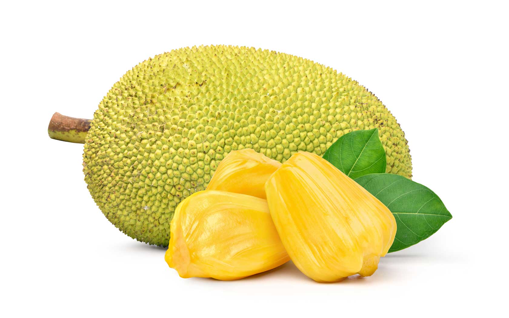 durian or Jackfruit Object Detection Model by nimi