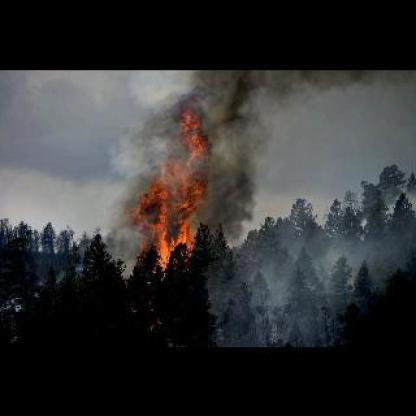 Smock and fire Object Detection Dataset by university cadi ayyad