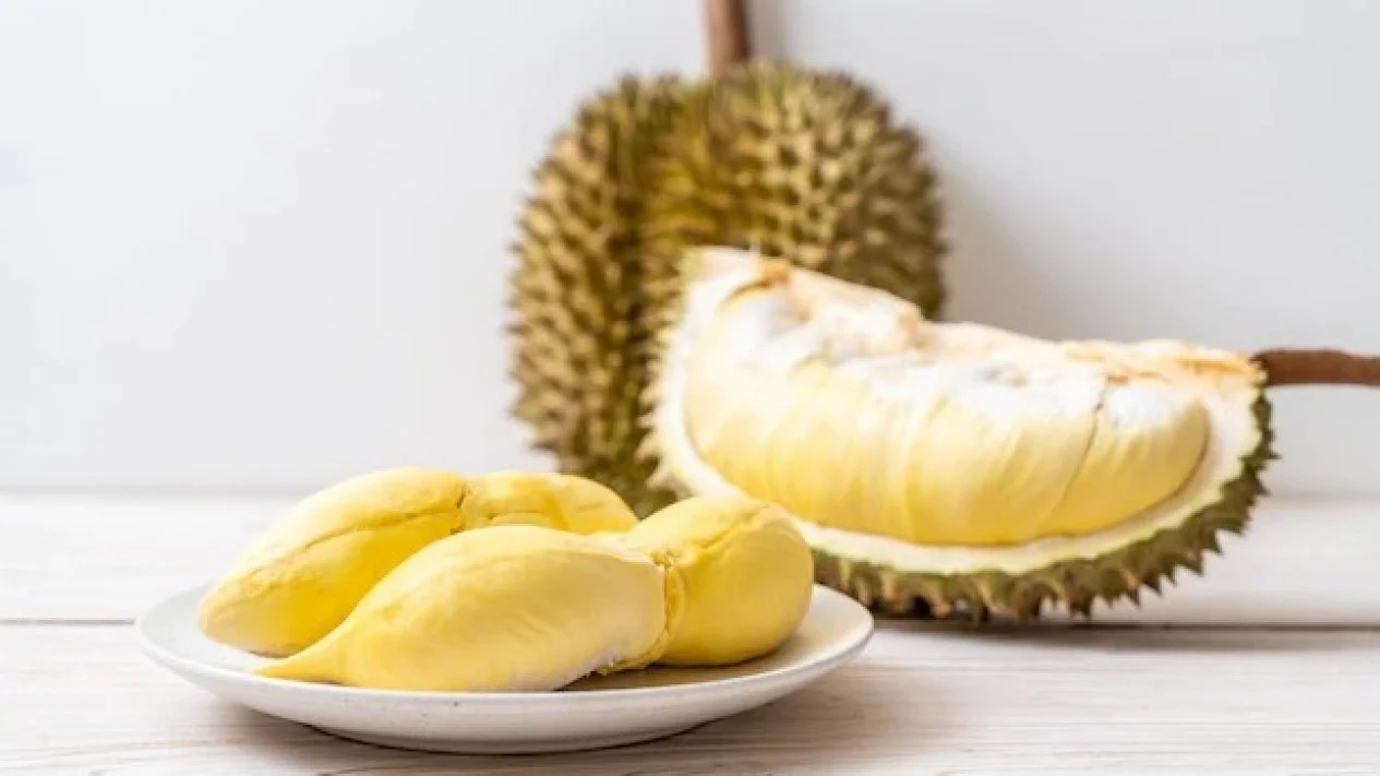 deteksi durian Object Detection Model by putra