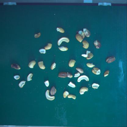 cashew nuts Object Detection Dataset by project