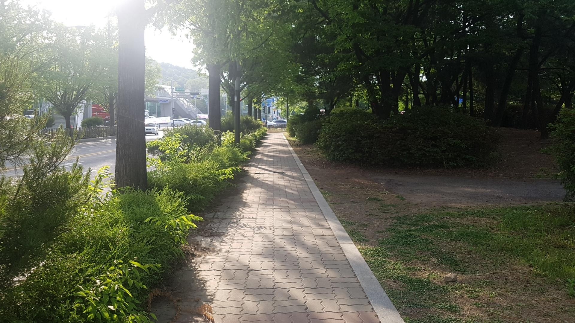 etg2 Object Detection Dataset by jsdt