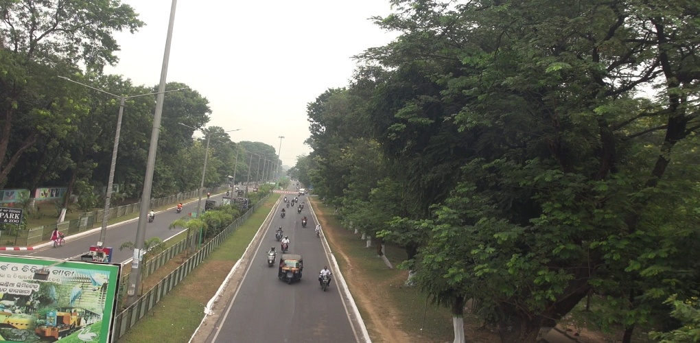 Yolov8 Vehicle Detection Object Detection Dataset By College Project Work