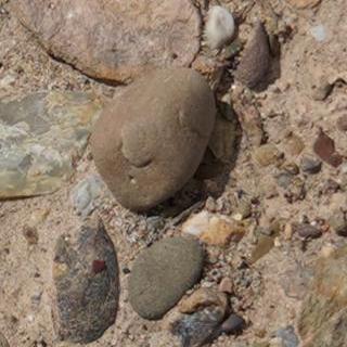 gravel -11.28补（用） Instance Segmentation Dataset by stone