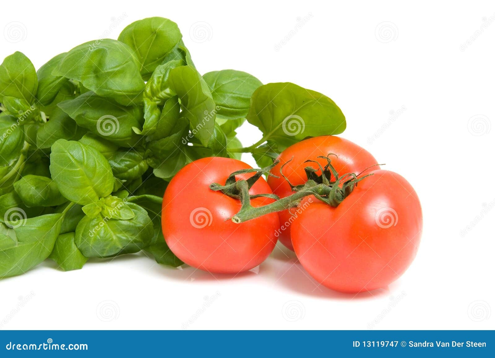 AllDataModel Object Detection Dataset and Pre-Trained Model by AgroBot