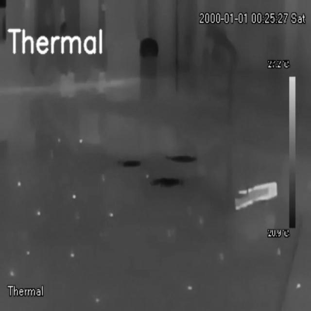 thermal Instance Segmentation Dataset by project-jwyme