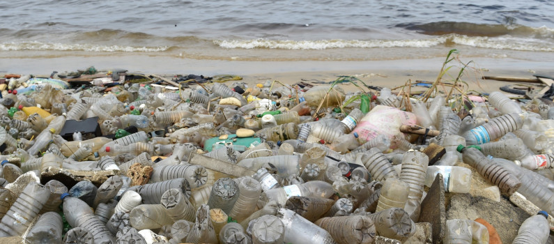 water_pollution_solid Instance Segmentation Dataset by Atal