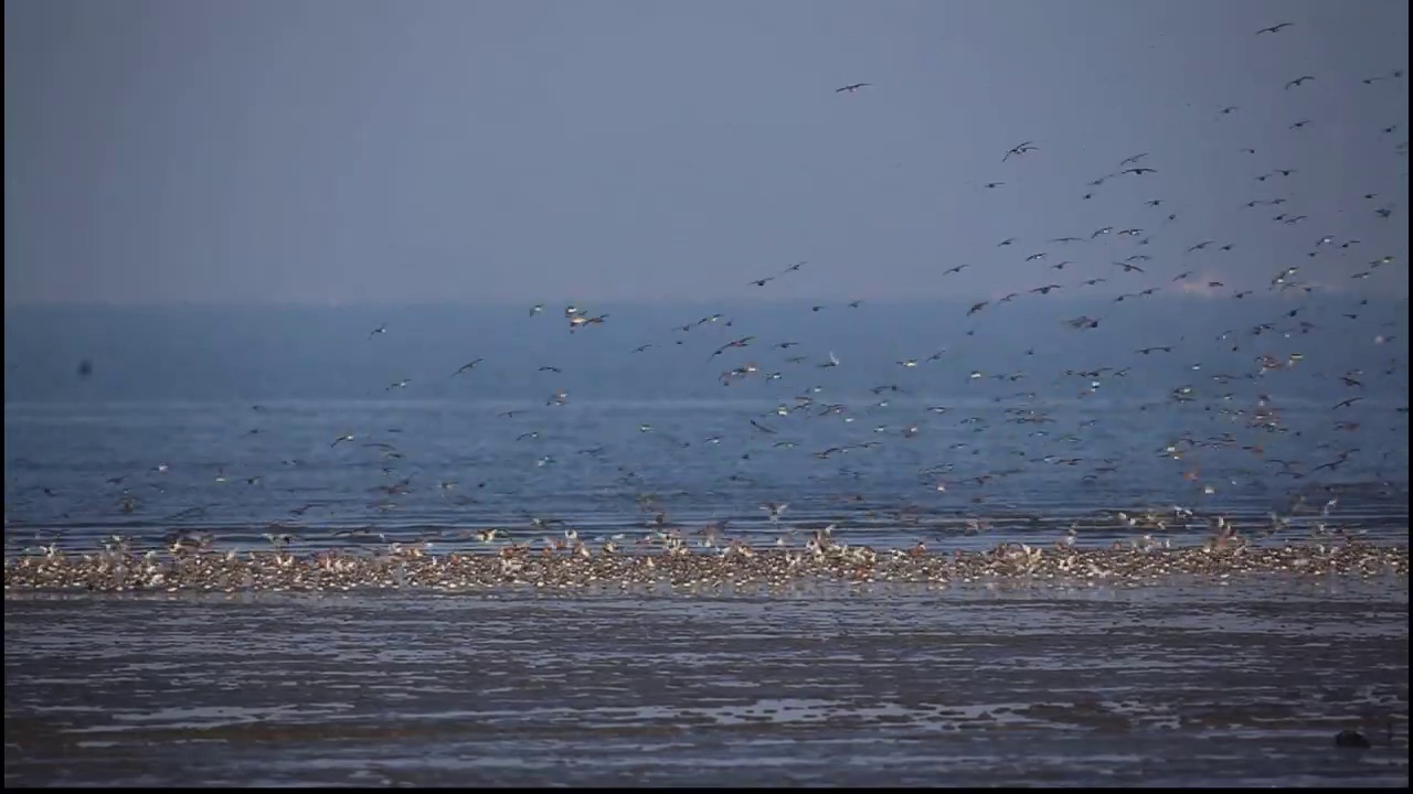 plot Object Detection Dataset by workspace