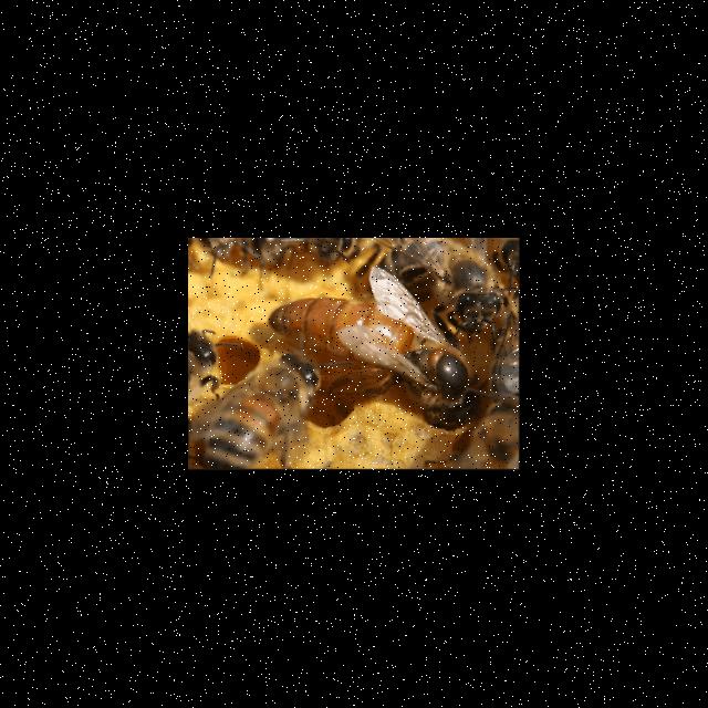 Bees-Classification Classification Dataset by Cool as Project