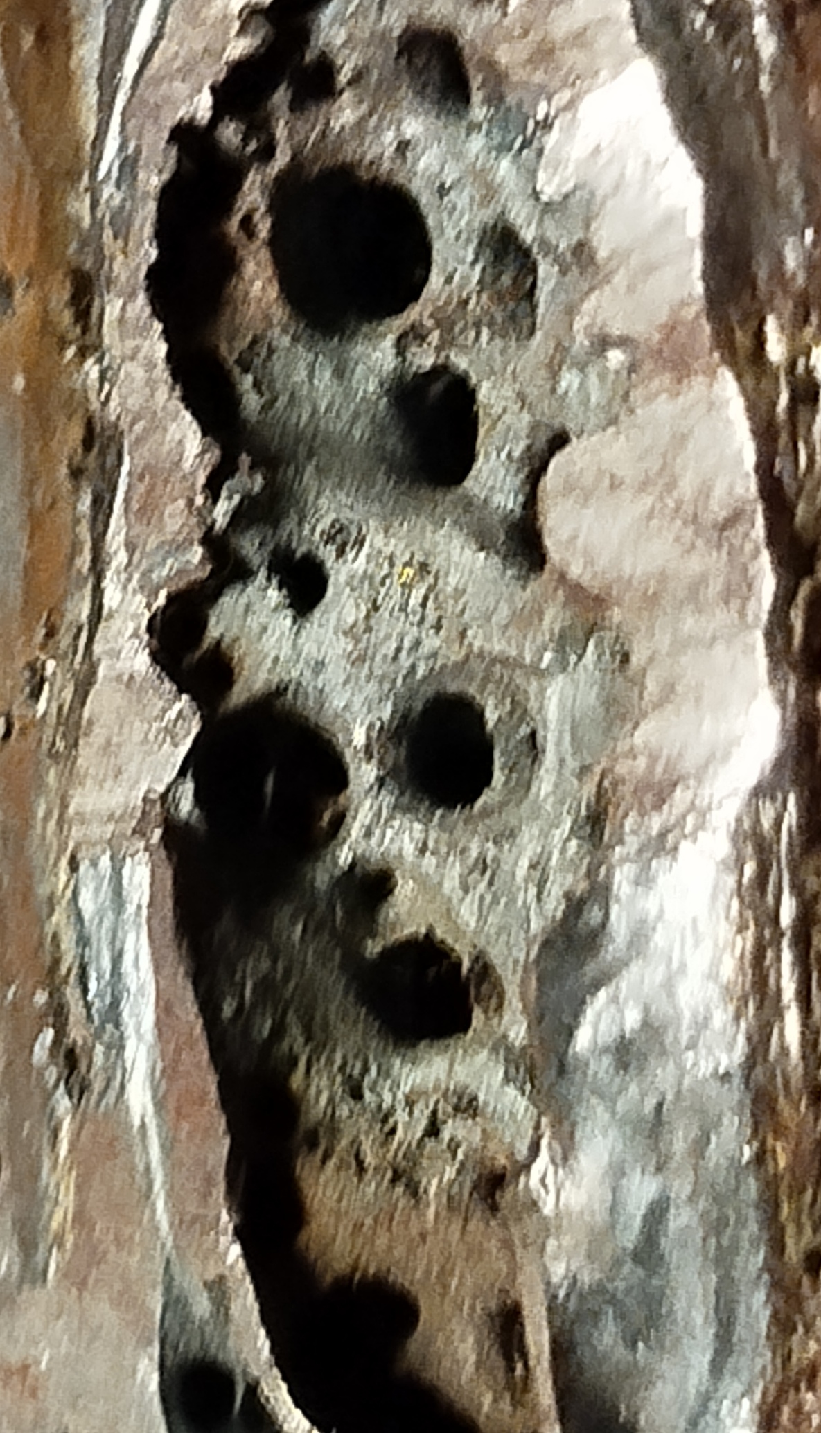 Weld Data Aug - P Classification Dataset by None